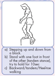 Falls prevention | Ageless Online